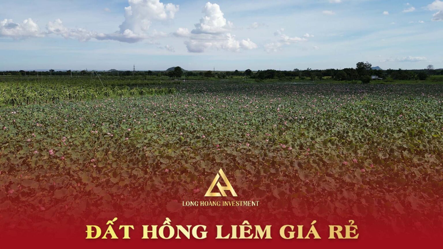 Có nên mua đất Hồng Liêm Bình Thuận - Long Hoàng Investment